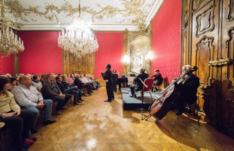Vienna: Concert by the Vienna Baroque Orchestra - A Closer Look at the Experience