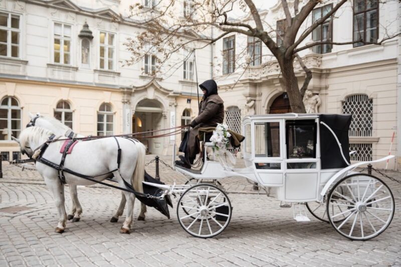 Vienna: Culinary Horse-Drawn Carriage Experience - The value for money