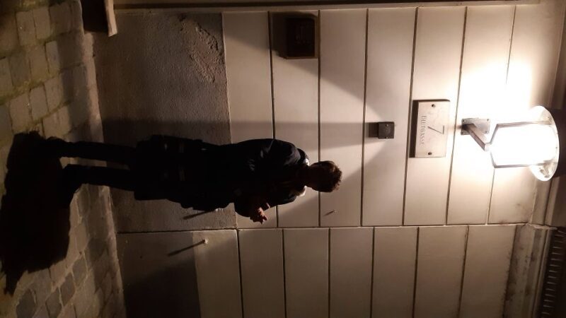 Vienna: German Guided Ghost Tour of Spooky Vienna - Authenticity and Value