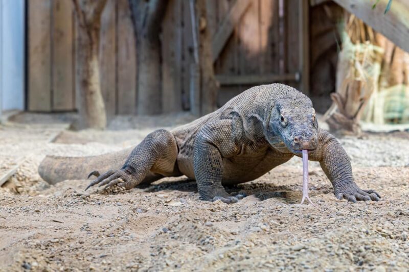 Vienna: Haus des Meeres Entry Ticket - Who Will Enjoy This Experience?