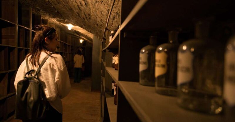 Vienna: Historical Pharmacy Cellar Guided Tour - Key Points