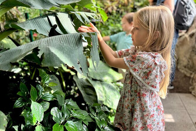 Vienna Private Family Tour: City Highlights, Museum and Cake - Key Points