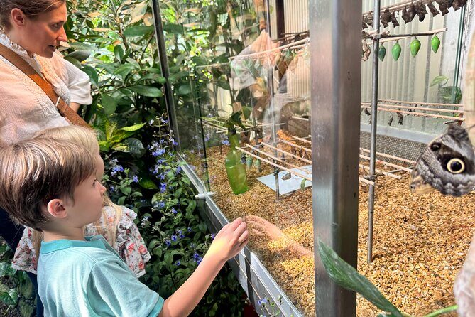 Vienna Private Family Tour: City Highlights, Museum and Cake - Who Will Love This Tour?