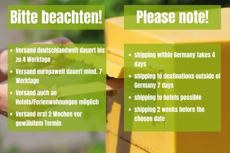 Vienna: Scavenger Hunt Self-Guided Tour - Final Thoughts