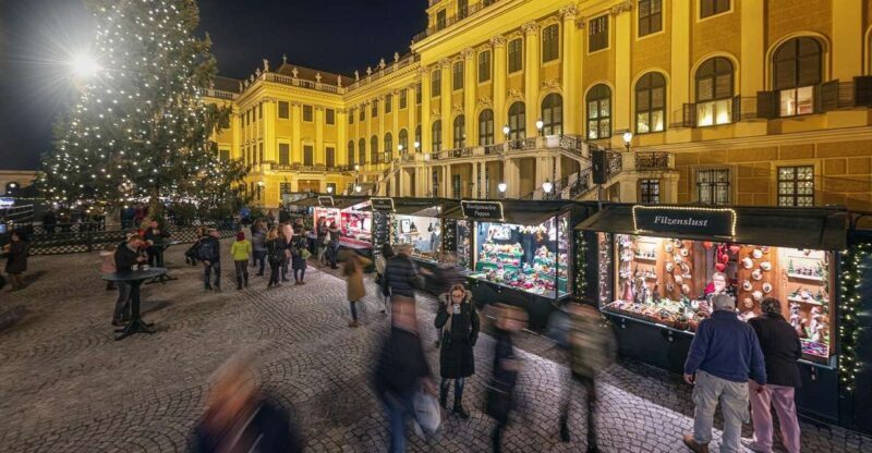 Vienna: Schönbrunn Palace & Christmas Market Walking Tour - The Experience: What You Can Expect