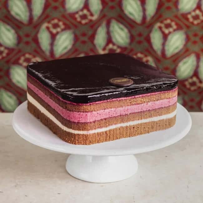 Vienna: Secrets and Scandals with Cake at Cafe Landtmann - Practical Details
