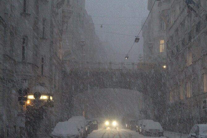 Vienna Secrets Walking Tour to Backyards and Mysterious Locations - Key Points  