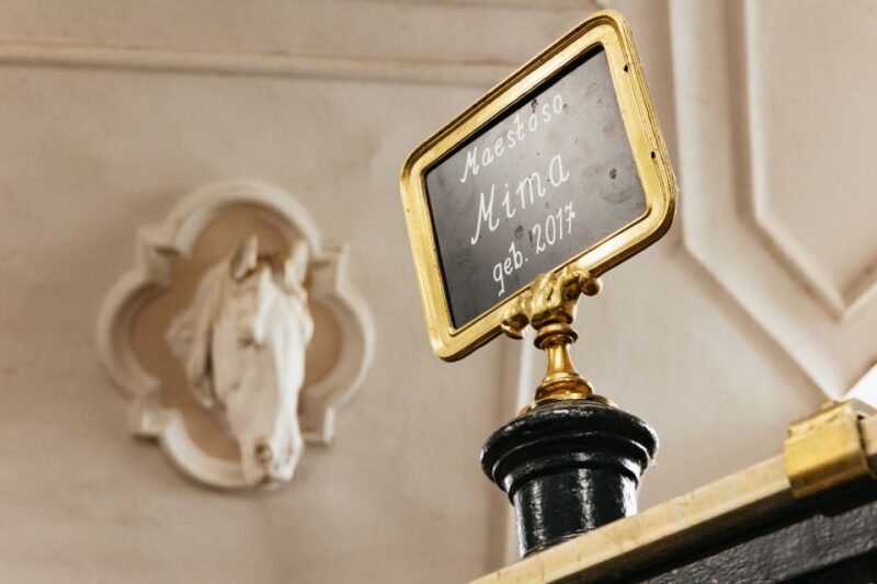 Vienna Spanish Riding School Guided Tour - FAQ