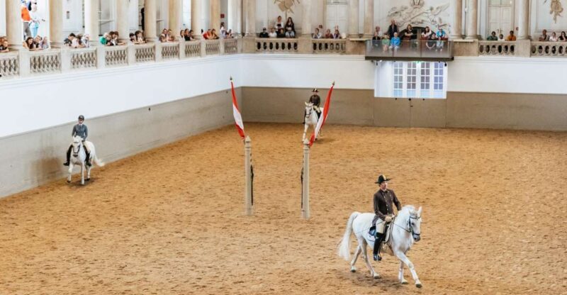 Vienna: Spanish Riding School Training - Key Points  