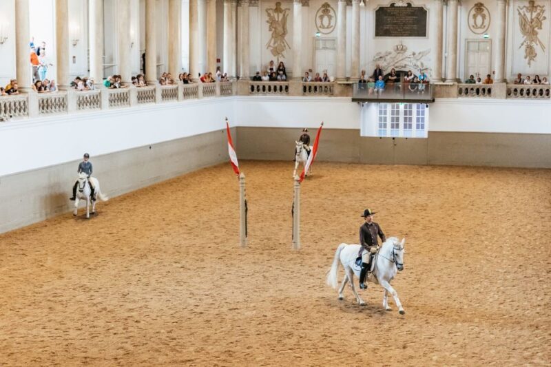 Vienna: Spanish Riding School Training - What to Expect at the Spanish Riding School Training  