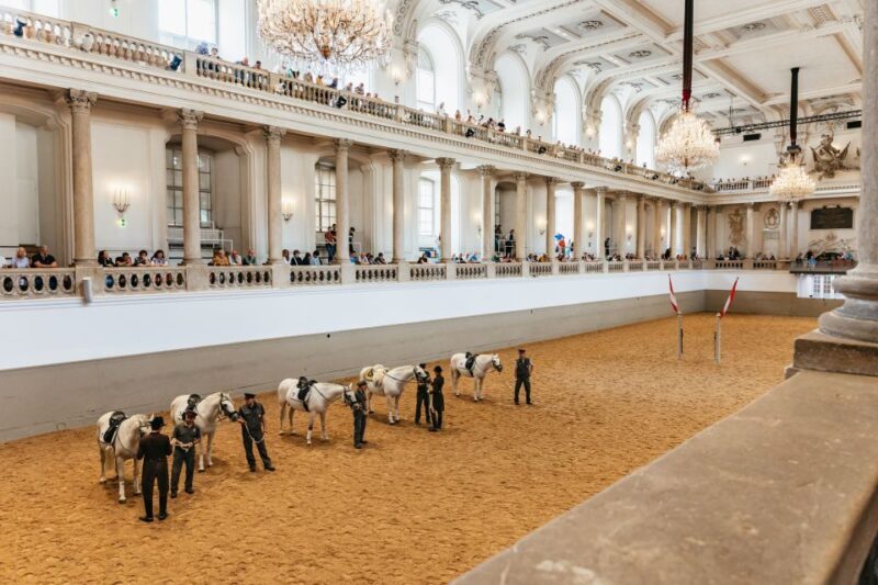 Vienna: Spanish Riding School Training - Tips for a Great Visit  