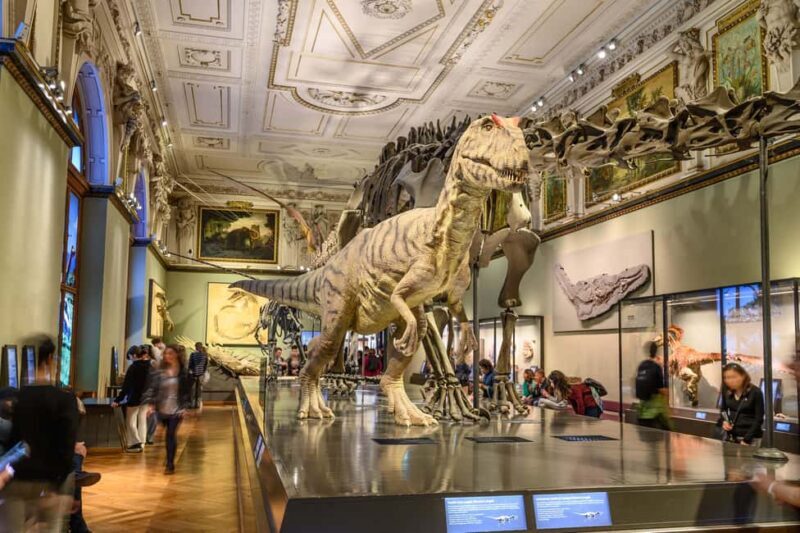 Vienna: Ticket to the Museum of Natural History - Practical Details and Value  