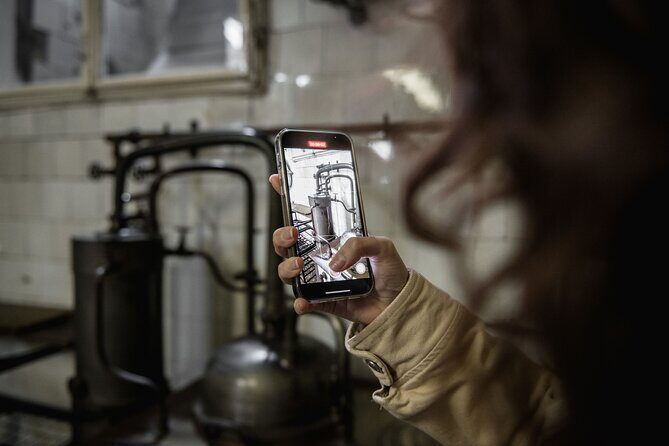 Vienna Underground Guided Walking Tour - Exploring Vienna’s Underground: What to Expect