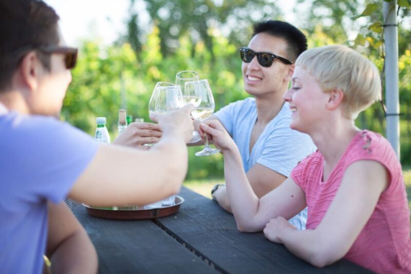 Vienna: Wine Tasting E-Bike Tour - Who Will Love This Tour?