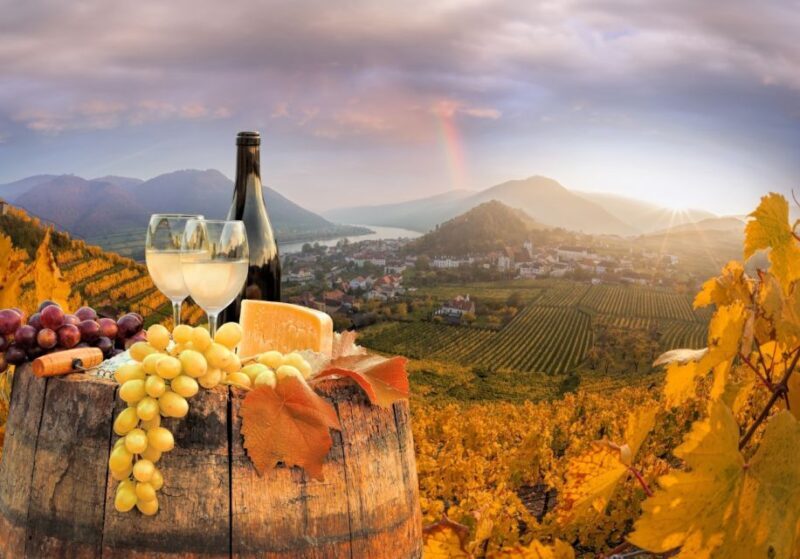 Vienna: Winery and Wine Tasting Tour with a Wine Expert - Practical Details