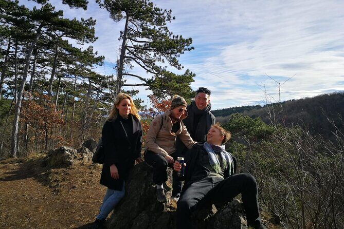 Vienna's Hills Private tour: Nature & Hidden Architectural Jewels - The Experience from Reviews