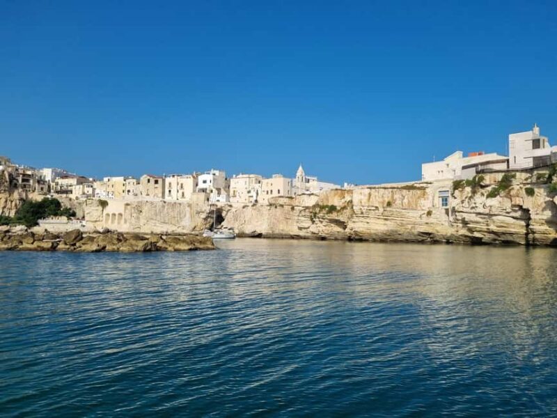 Vieste: South coast boat excursion with swim stop - FAQ