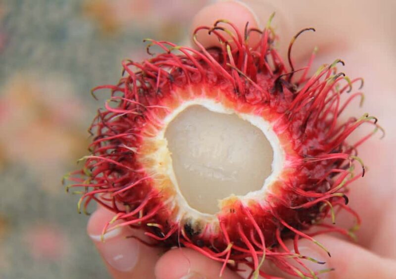 Vietnamese Food Tour with Local Guide - Discovering Cabramatta’s Street Food and Culture