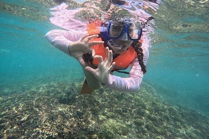 Viewpoints and Snorkeling EN Playa La Entrega - Who Should Consider This Tour?