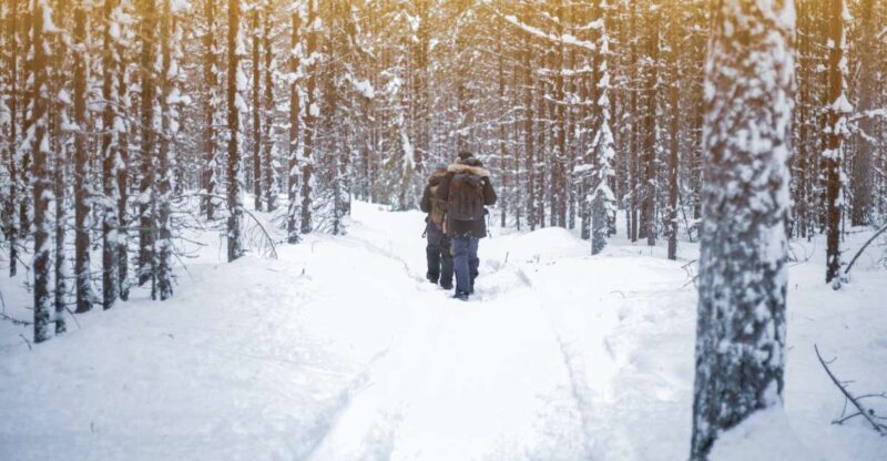 Vikakongas Hike: Nature and Silence - An In-Depth Look at the Vikakongas Hike