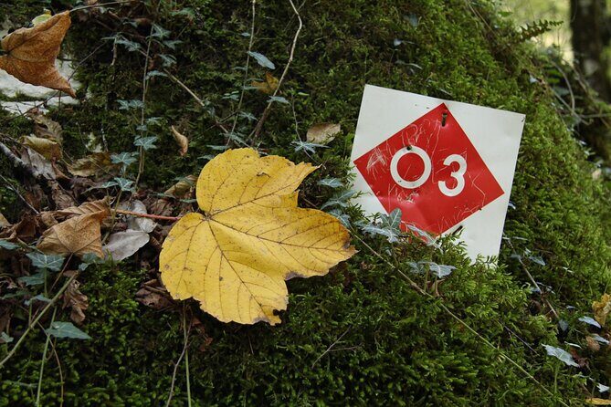 Vikos Gorge crossing hiking from Monodentri to Vikos village - What Travelers Are Saying