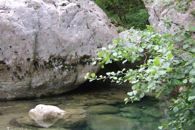 Vikos Gorge daily hike - The Experience Itself: From Start to Finish
