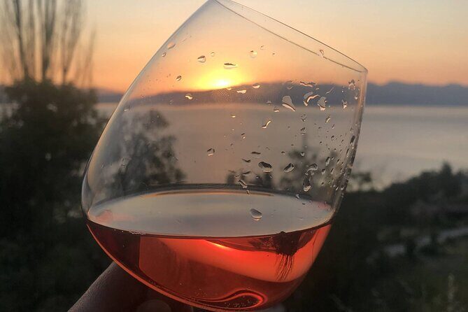 Vik's Unique Wine Tasting Experience in Ohrid - Key Points