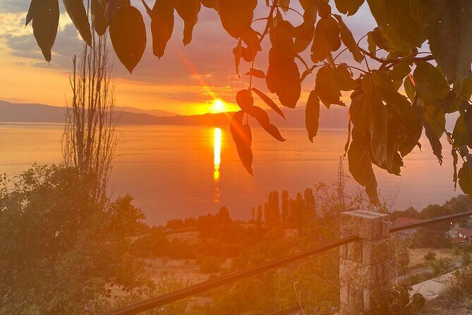 Vik's Unique Wine Tasting Experience in Ohrid - An Overview of Vik’s Wine Tasting Experience