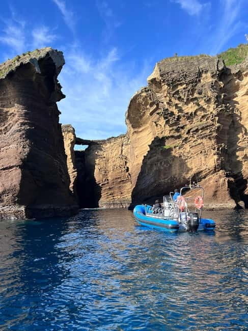 Vila Franca do Campo: Marine Life & Bird Watching & Islet Tour - FAQ