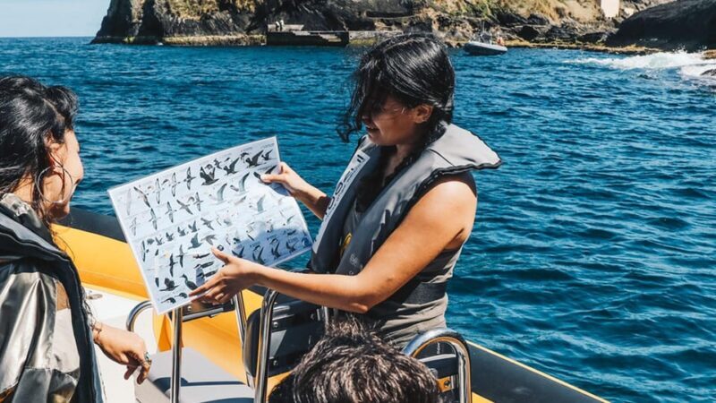 Vila Franca Islet: Bioligist Guided 0% Carbon e-Boat Tour - FAQ