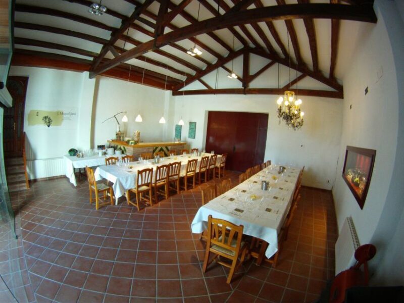 Vilafranca del Penedès: Winery Visit with Tastings - What to Expect from the Vineyard Experience