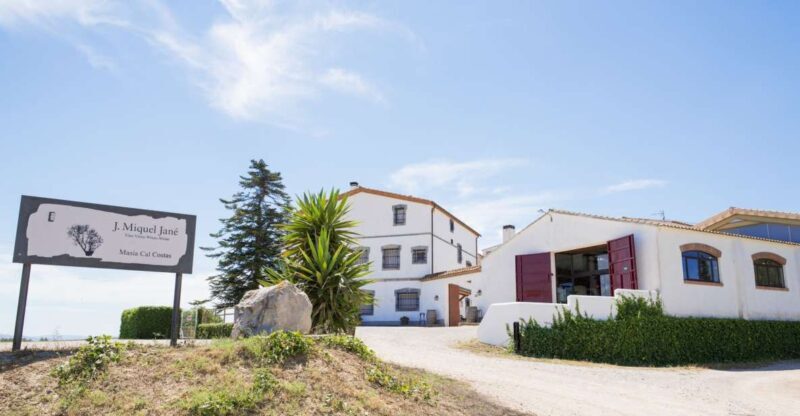 Vilafranca del Penedès: Winery Visit with Tastings - Practicalities and Logistics