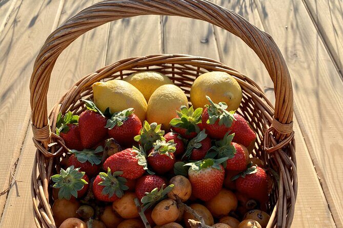 Vilamoura, Albufeira & Porches: Wine Tasting, Tapas & Music Tour - FAQ