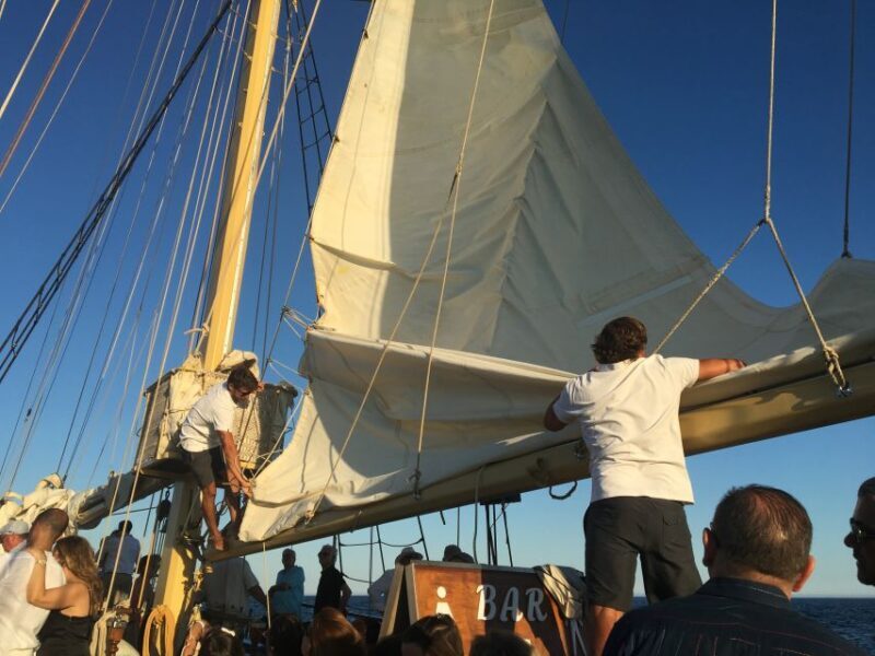 Vilamoura: Algarve Coast 3-Hour Sailing Cruise With Open Bar - Key Points