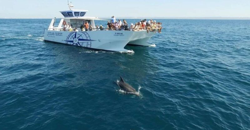 Vilamoura: Boat Tour Dolphin Quest & Marine Life Search - Key Points  