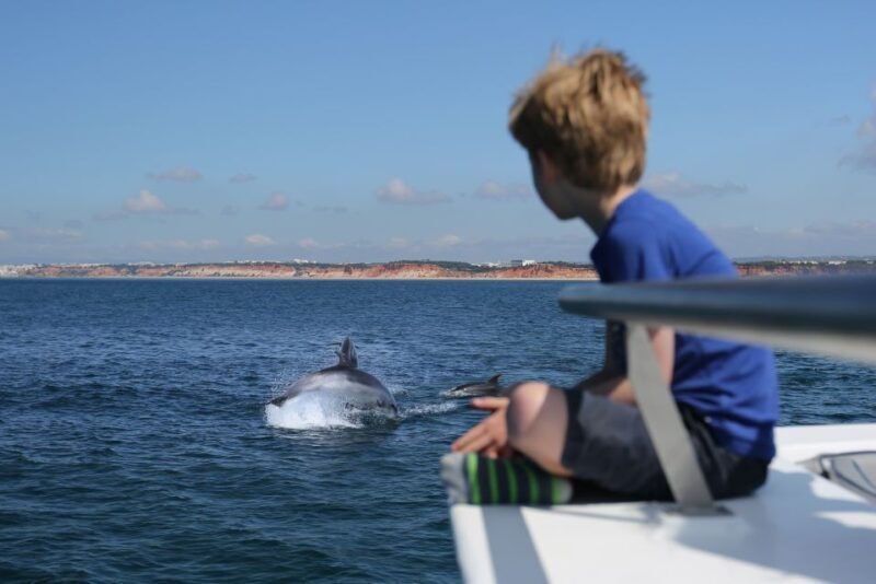 Vilamoura: Boat Tour Dolphin Quest & Marine Life Search - Summary: Why This Tour Is a Solid Choice