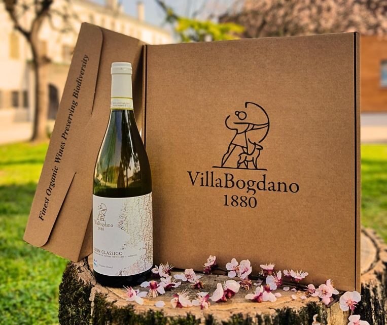 Villa Bogdano 1880: Guided Winery Tour and Tasting - An In-Depth Look at the Villa Bogdano 1880 Experience
