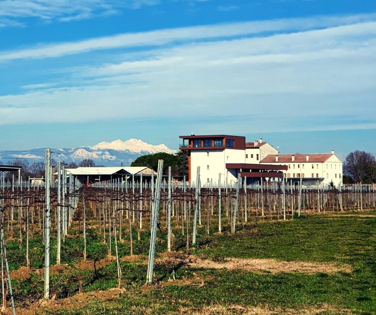 Villa Bogdano 1880: Guided Winery Tour and Tasting - FAQ