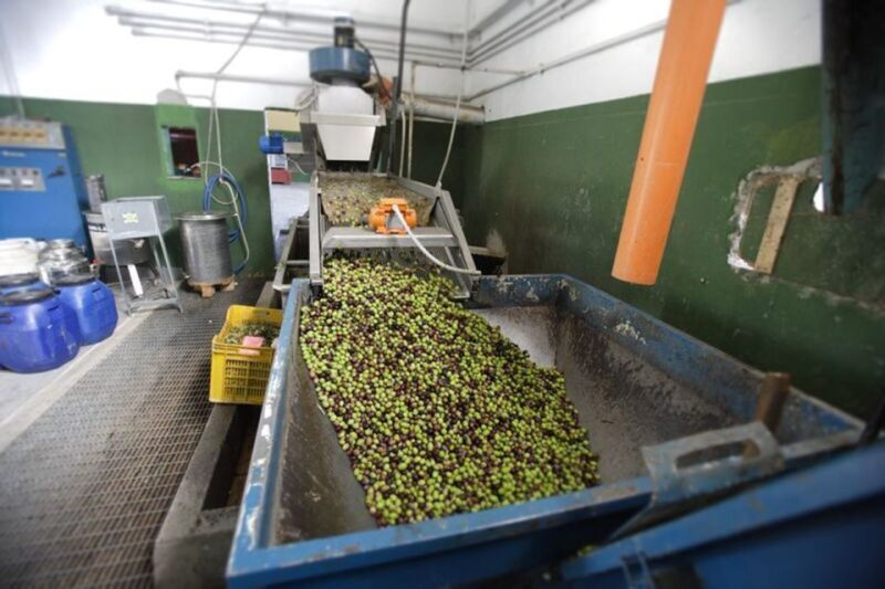 Villa Castelli: Highlights Walking Tour w/ Olive Oil Tasting - FAQs