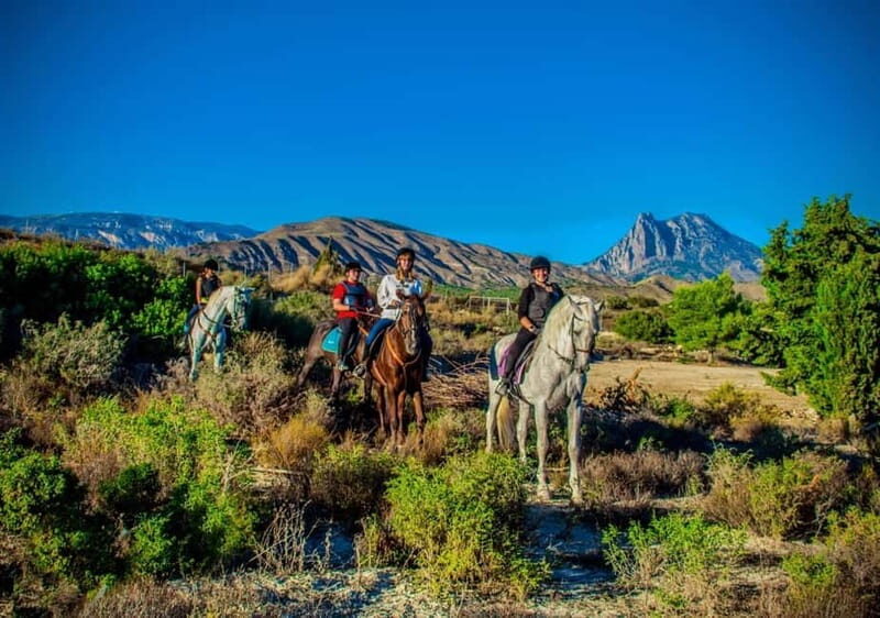 Villajoyosa: Horseback Riding in the Mountains - Practical Details and Tips