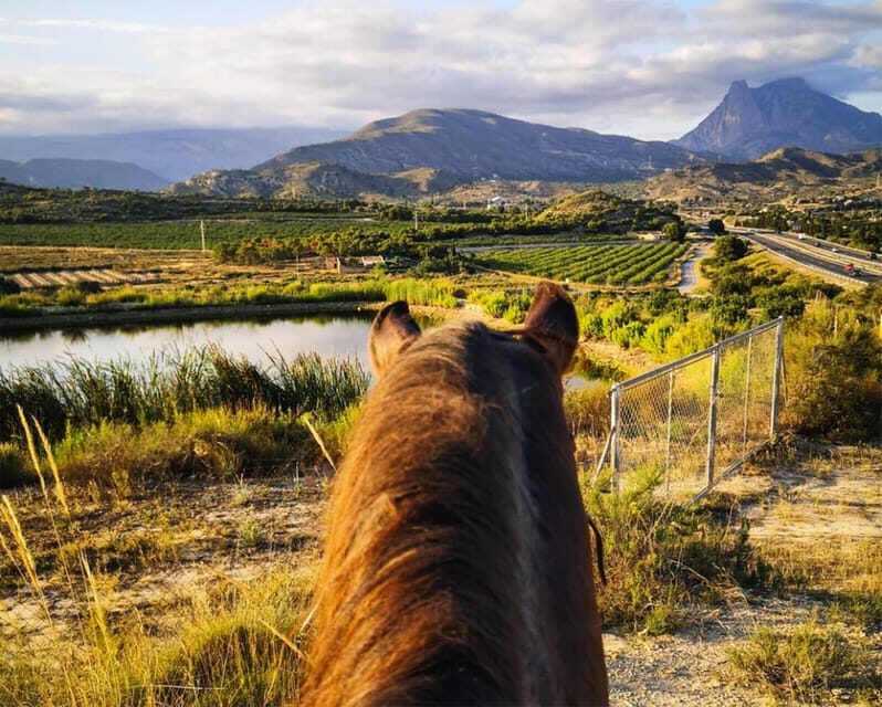 Villajoyosa Horseback Riding in the Mountains with sea views - Who Is This Tour Best Suited For?