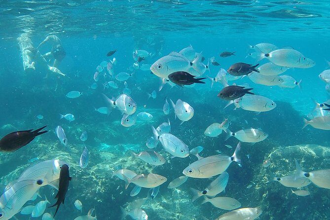 Villasimius and Solanas Beaches Day Trip from Cagliari with van - FAQs About the Villasimius and Solanas Beaches Day Trip