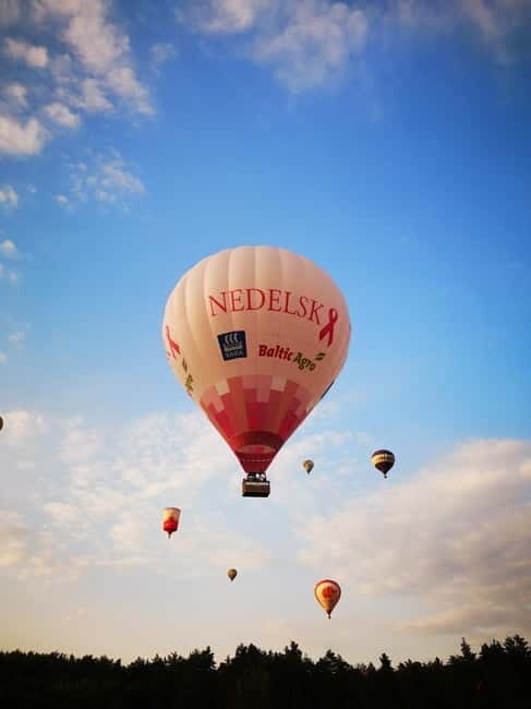 Vilnius or Trakai: Hot Air Balloon Flight - Who Is This Tour Best For?