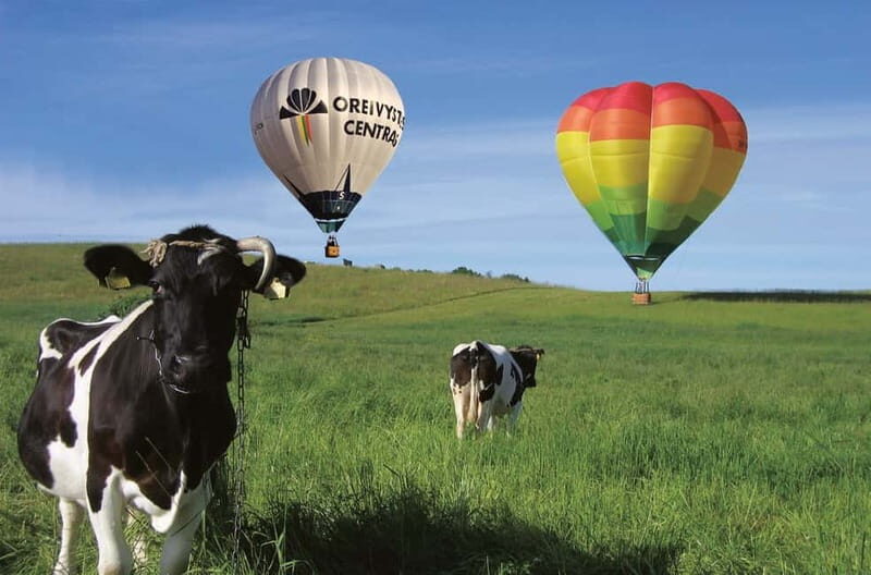 Vilnius or Trakai: Hot Air Balloon Flight - FAQ