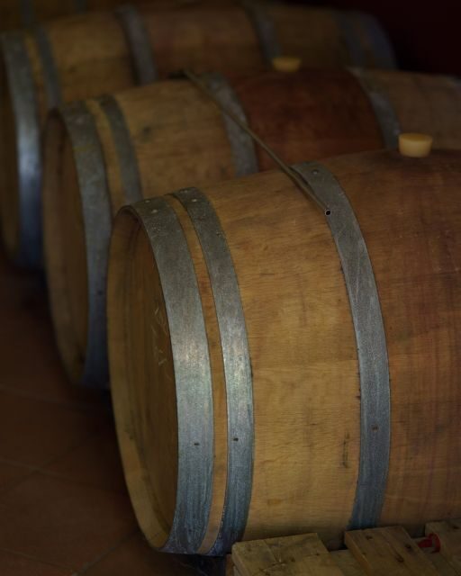 Vinci: wine-experience among the Tuscan hills - Key Points  