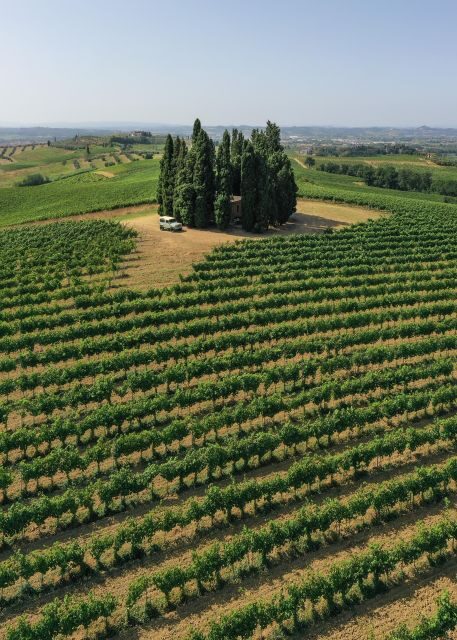 Vinci: wine-experience among the Tuscan hills - Exploring the Details of the Vinci Wine Experience  