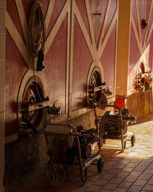 Vinci: wine-experience among the Tuscan hills - FAQs  