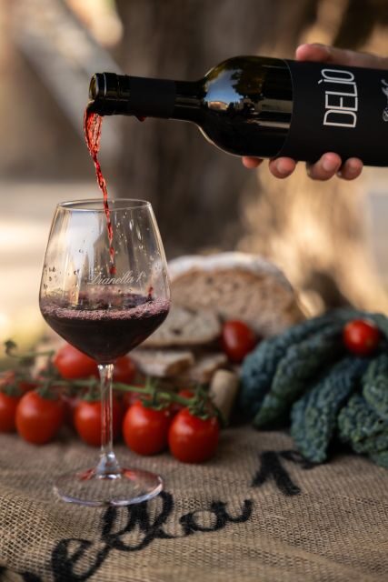 Vinci: wine-experience among the Tuscan hills - Final Thoughts  