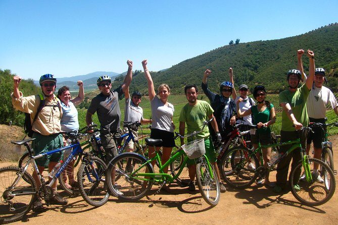 Vine and Dine Bicycle Wine Tour with Lunch - Who Would Love This Tour?