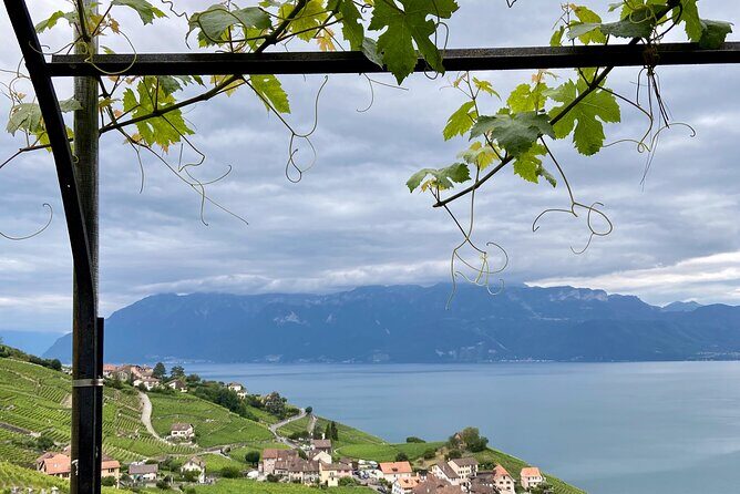 Vine Stories: Lavaux & Lutry wine walk - Value for Money